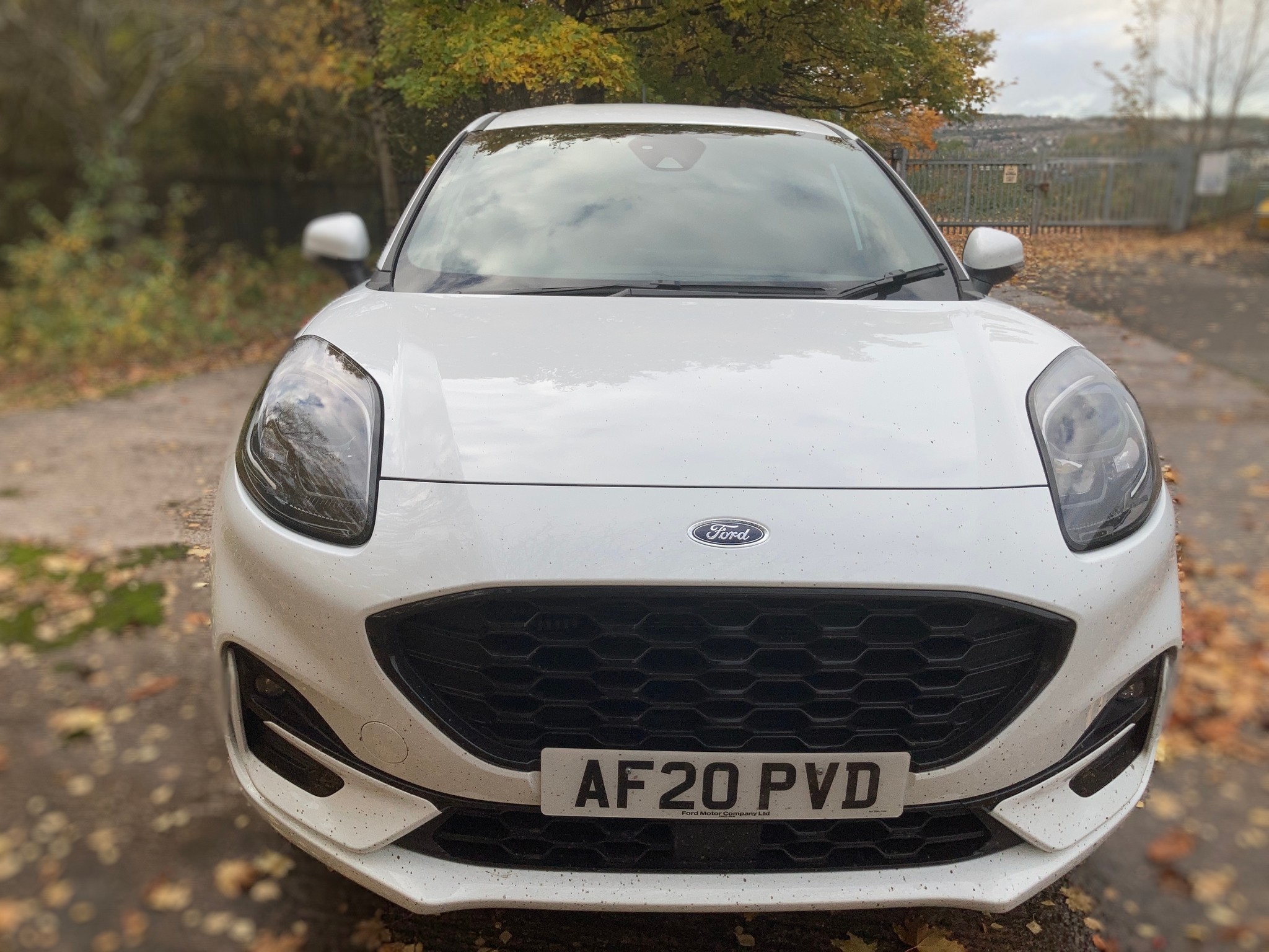Ford Puma ST-Line 125PS mHEV – Review – Car Indicators